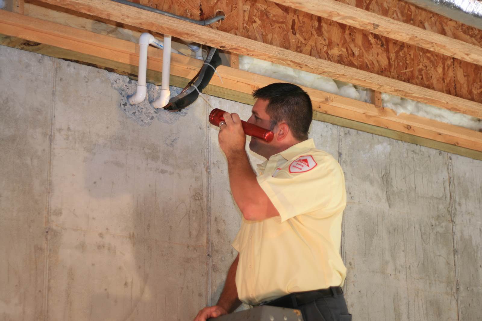 Pest Control - Dodson Pest Control