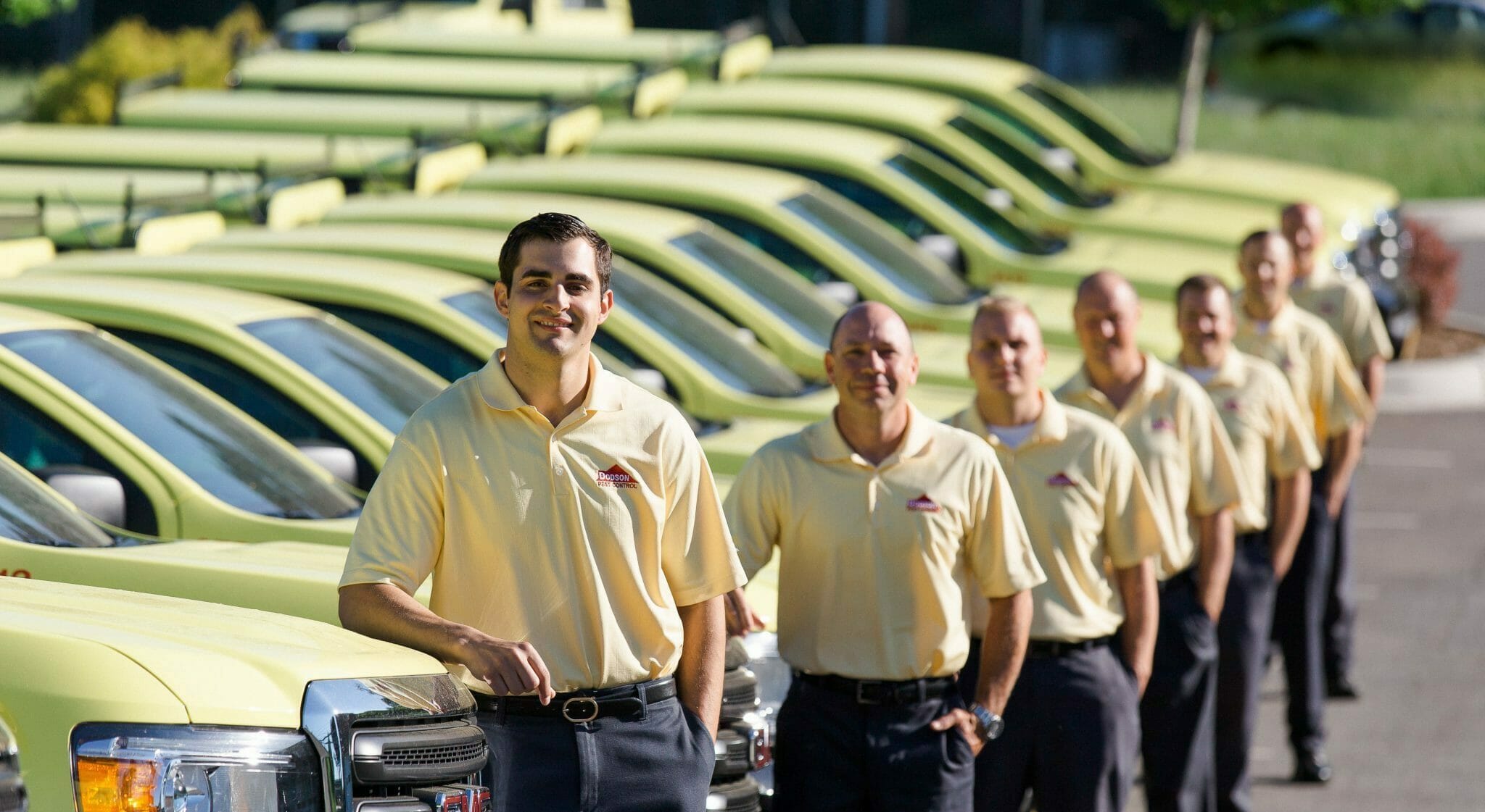 Are Pest Control Services Worth It? Professional vs. DIY Solutions ...