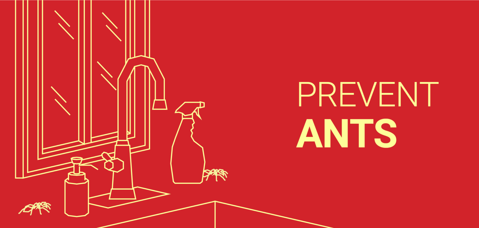 Ant Prevention - Dodson Pest Control