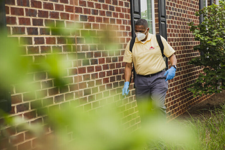 Pest Control - Dodson Pest Control