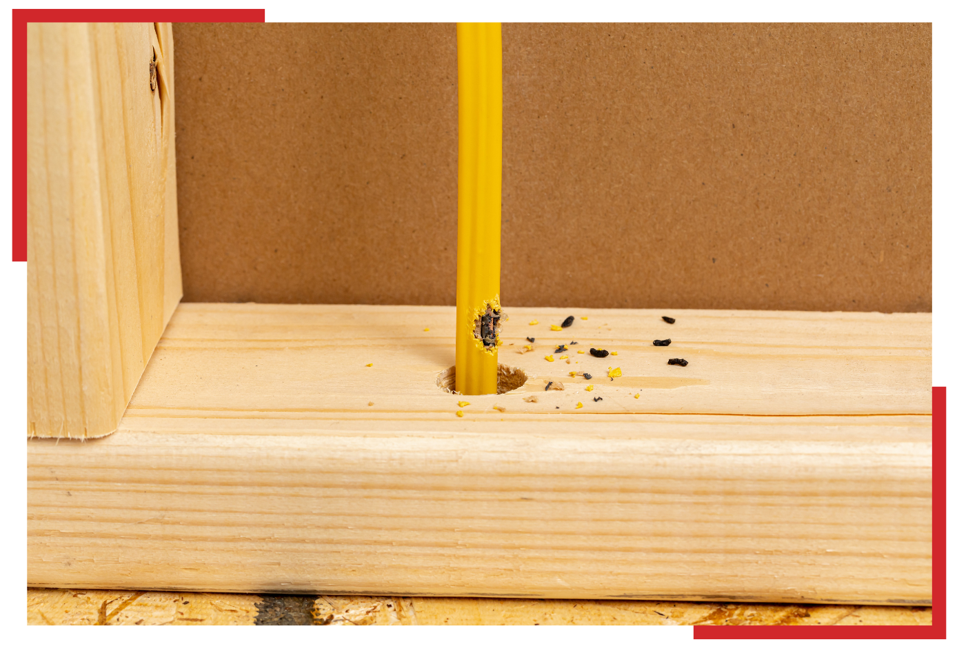 What Do Mice Eat? - Dodson Pest Control