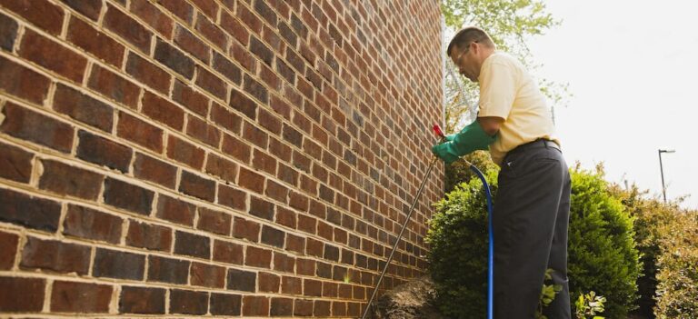 Pros and Cons of Different Termite Treatments - Dodson Pest Control