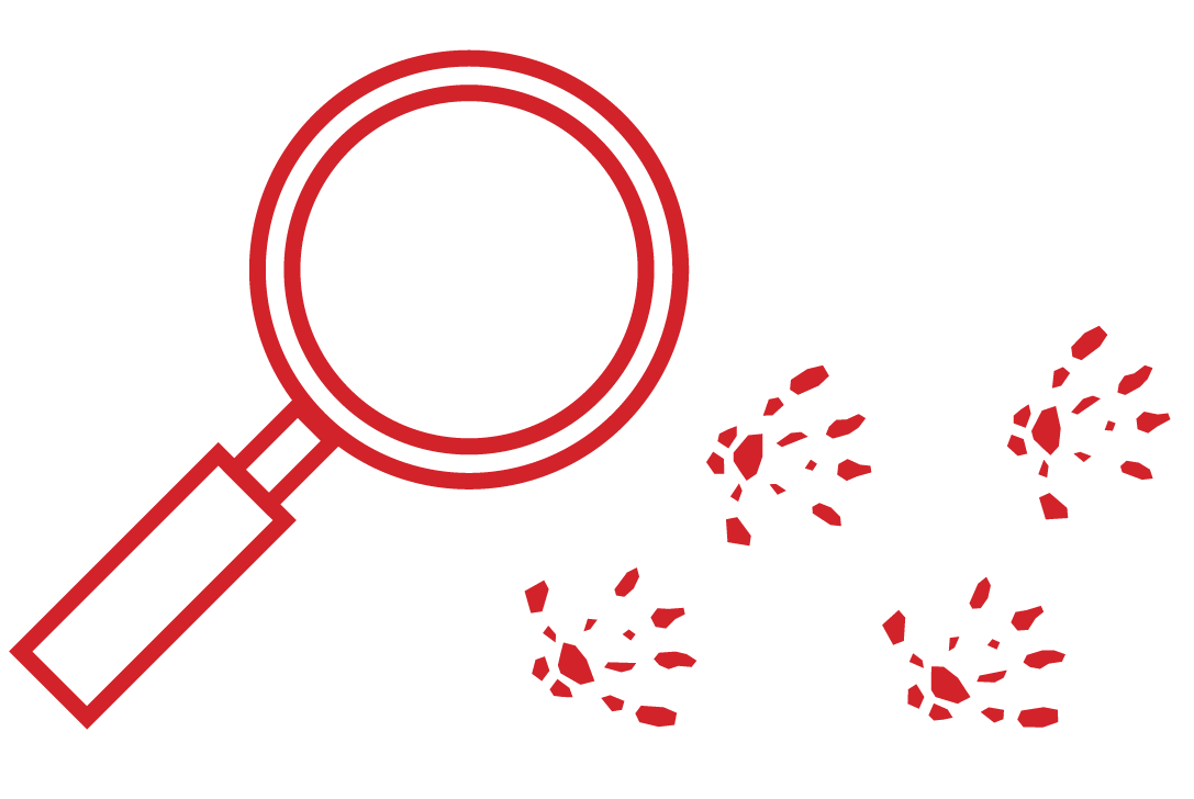 How to Identify Mice and Rats - Dodson Pest Control