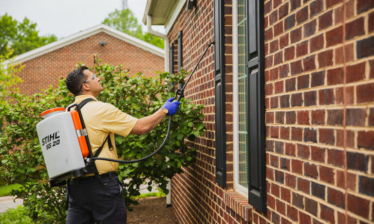 Signs of Termite Damage and Termite Infestations - Dodson Pest Control