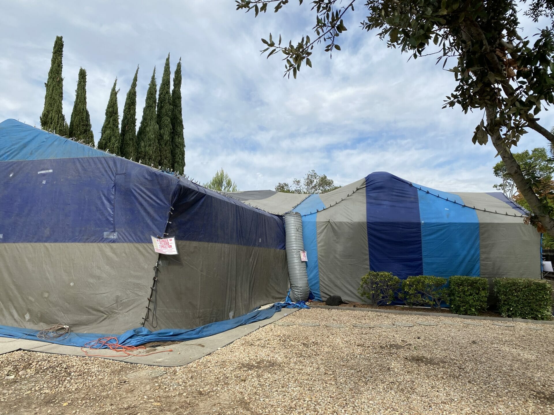 Your Questions About Fumigation Answered - Dodson Pest Control