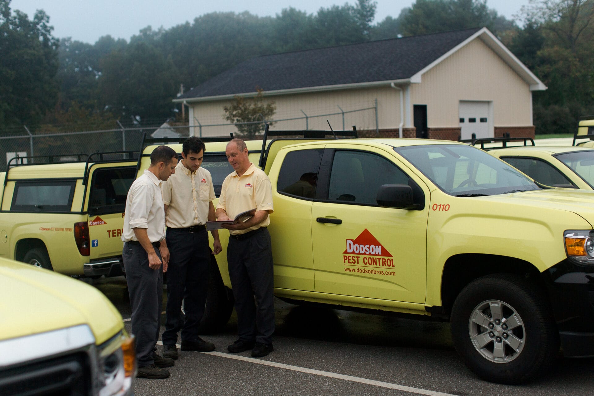 Why Termite Infestations Are Best Left to the Professionals - Dodson ...